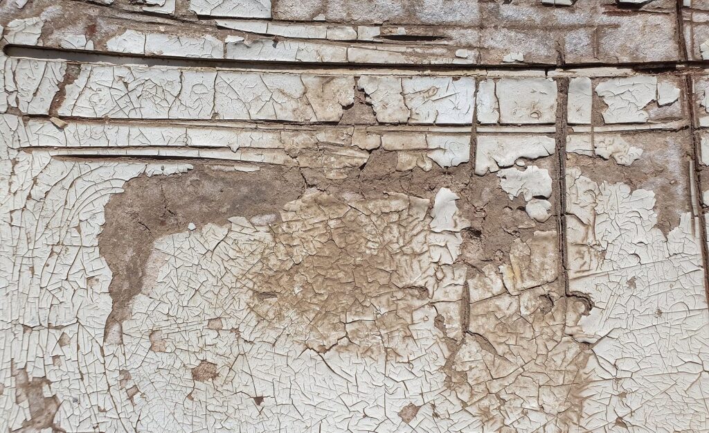 What is Dry Rot and How Can You Prevent It? | VCE | Marin County, CA